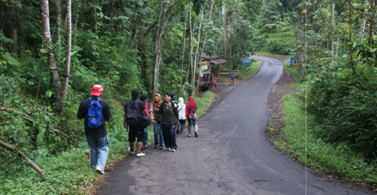 Visit Maguan | Unofficial Blogsite Desa Maguan Malang