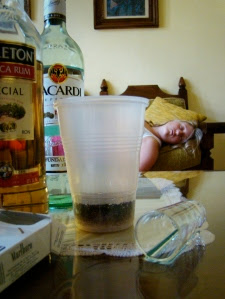 Modelo de manejo de información: STRIPLING PITTS : Paso 10