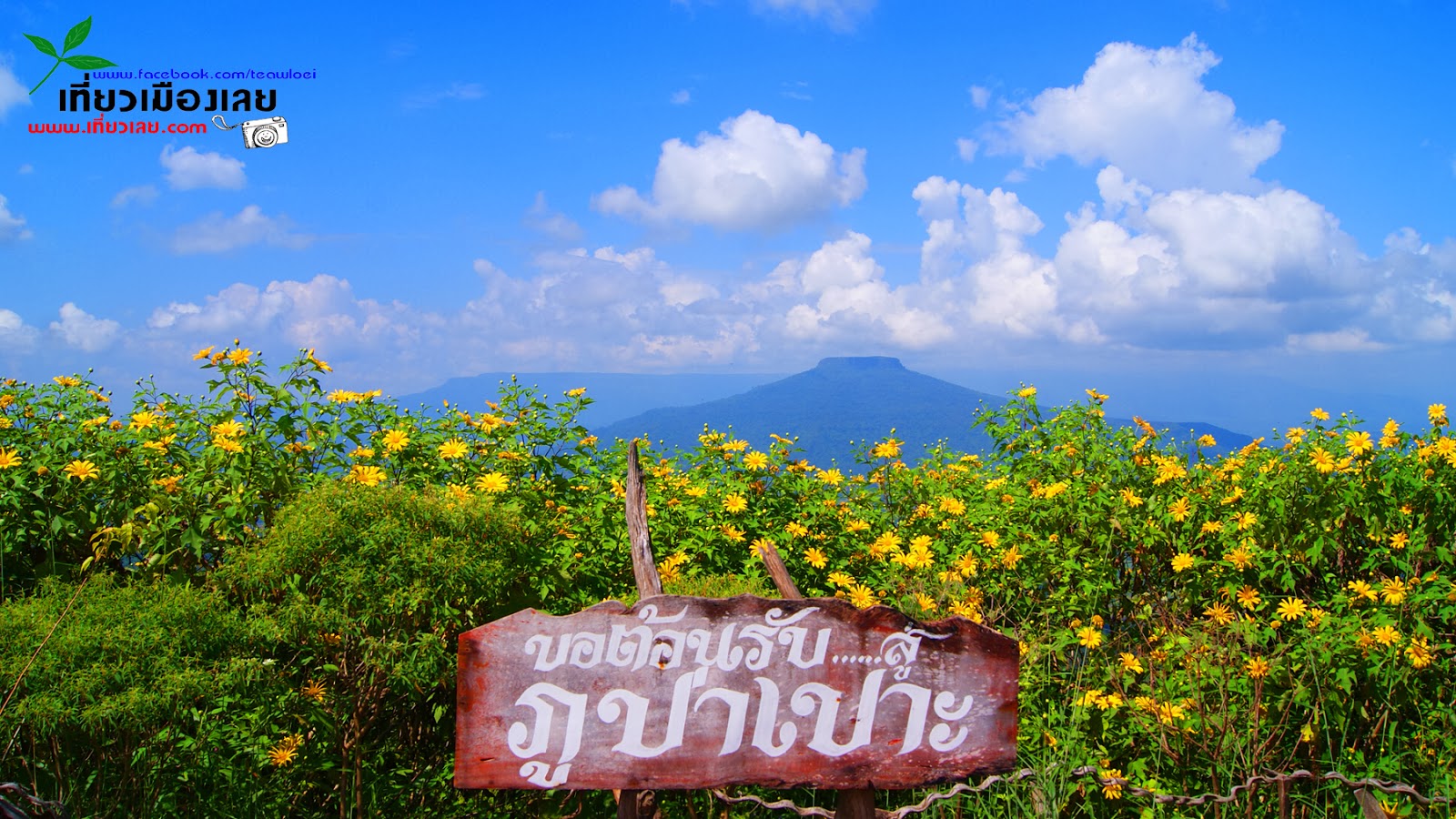 Phu Pa Poh - Thailand’s version of Mt Fuji - Siam-Ja