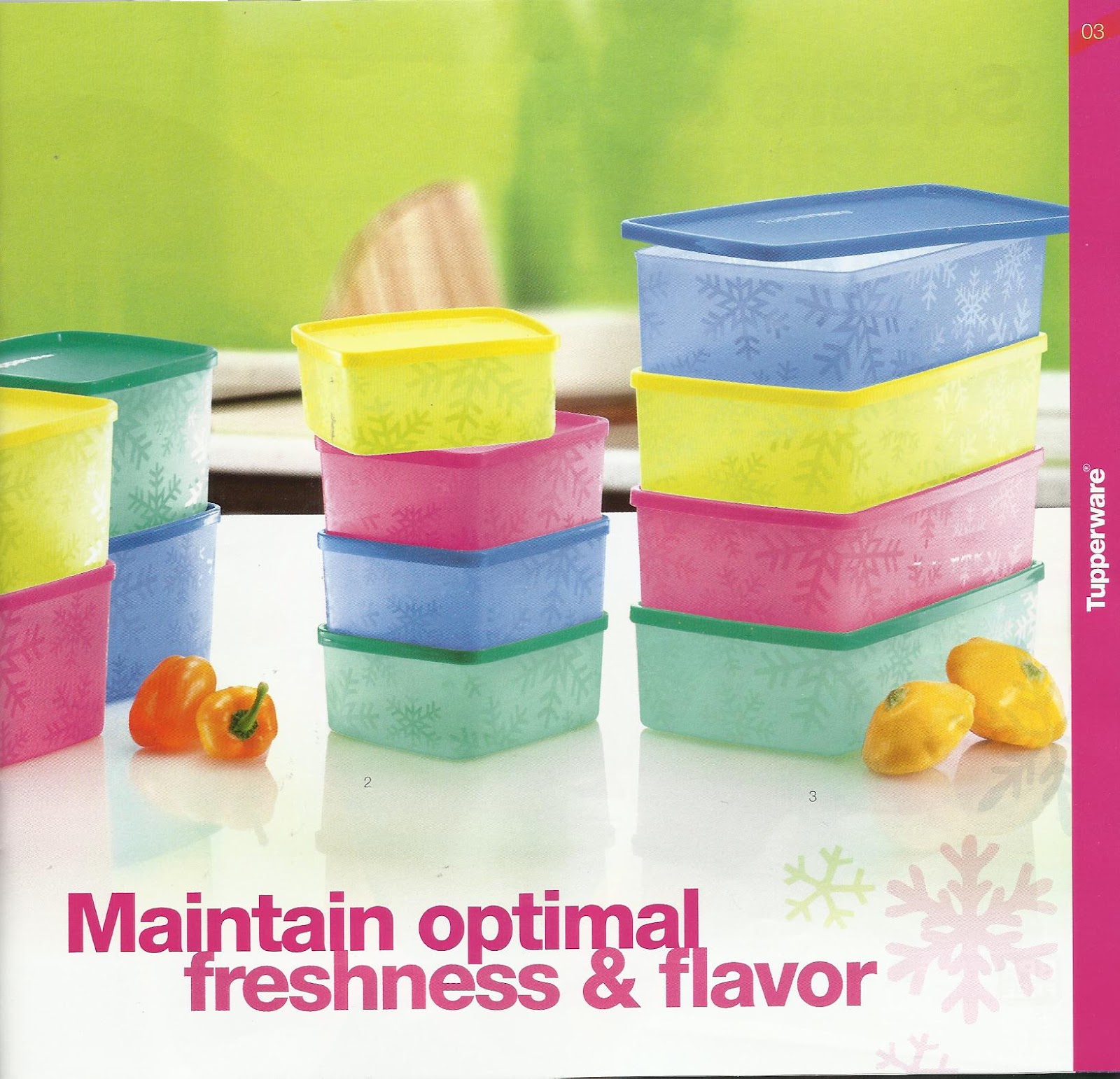 SHARE THE GIFT: Tupperware Catalog: 1 October - 10 November 2012