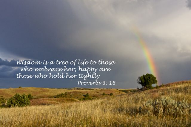 A reminder of Biblical wisdom and guidance, rather than secular ...