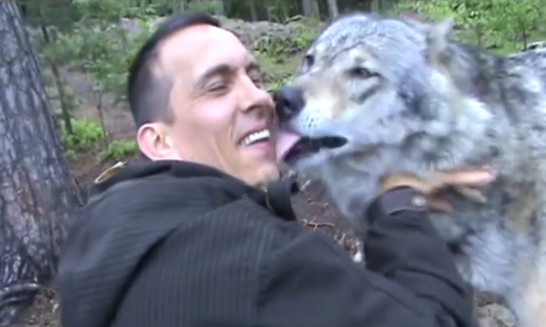 White Wolf : Adorable Wolf Can't Stop Kissing A Man With Cerebral Palsy ...