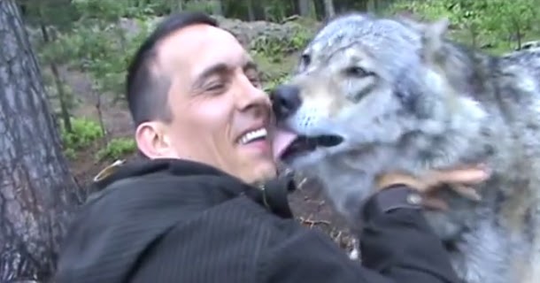 White Wolf : Adorable Wolf Can't Stop Kissing A Man With Cerebral Palsy ...