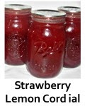 FOOD PRESERVING: FRUIT JUICE & FRUIT CORDIAL RECIPES