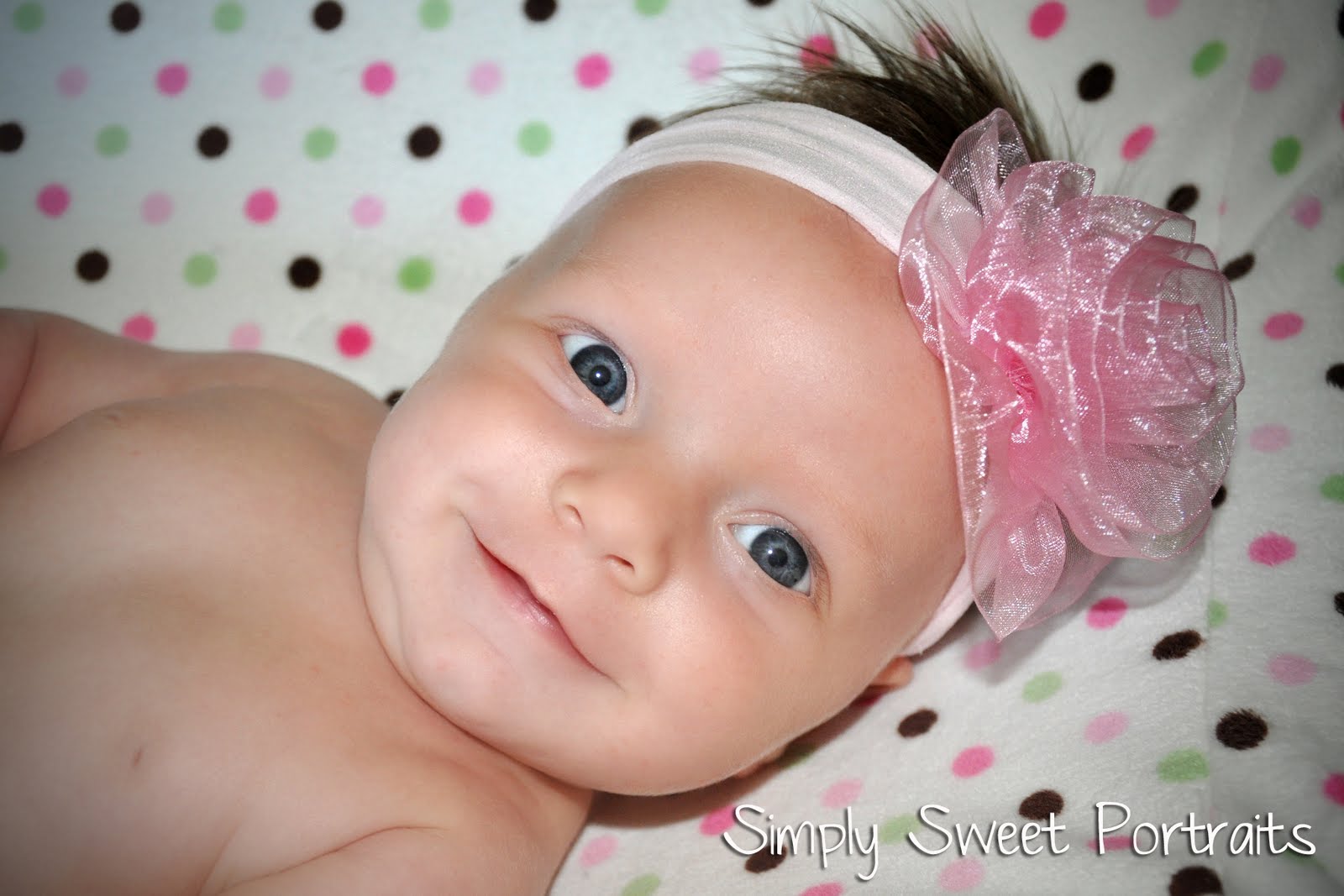 Simply Sweet Portraits: Baby Amelia ~ 6 weeks old