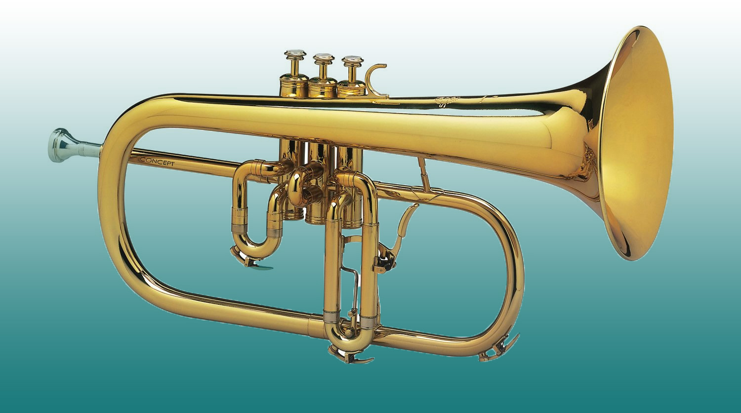 SOCIÉTÉ D'HISTOIRE DU HAUT-RICHELIEU: IL Y A 150 ANS - LES FÉNIENS