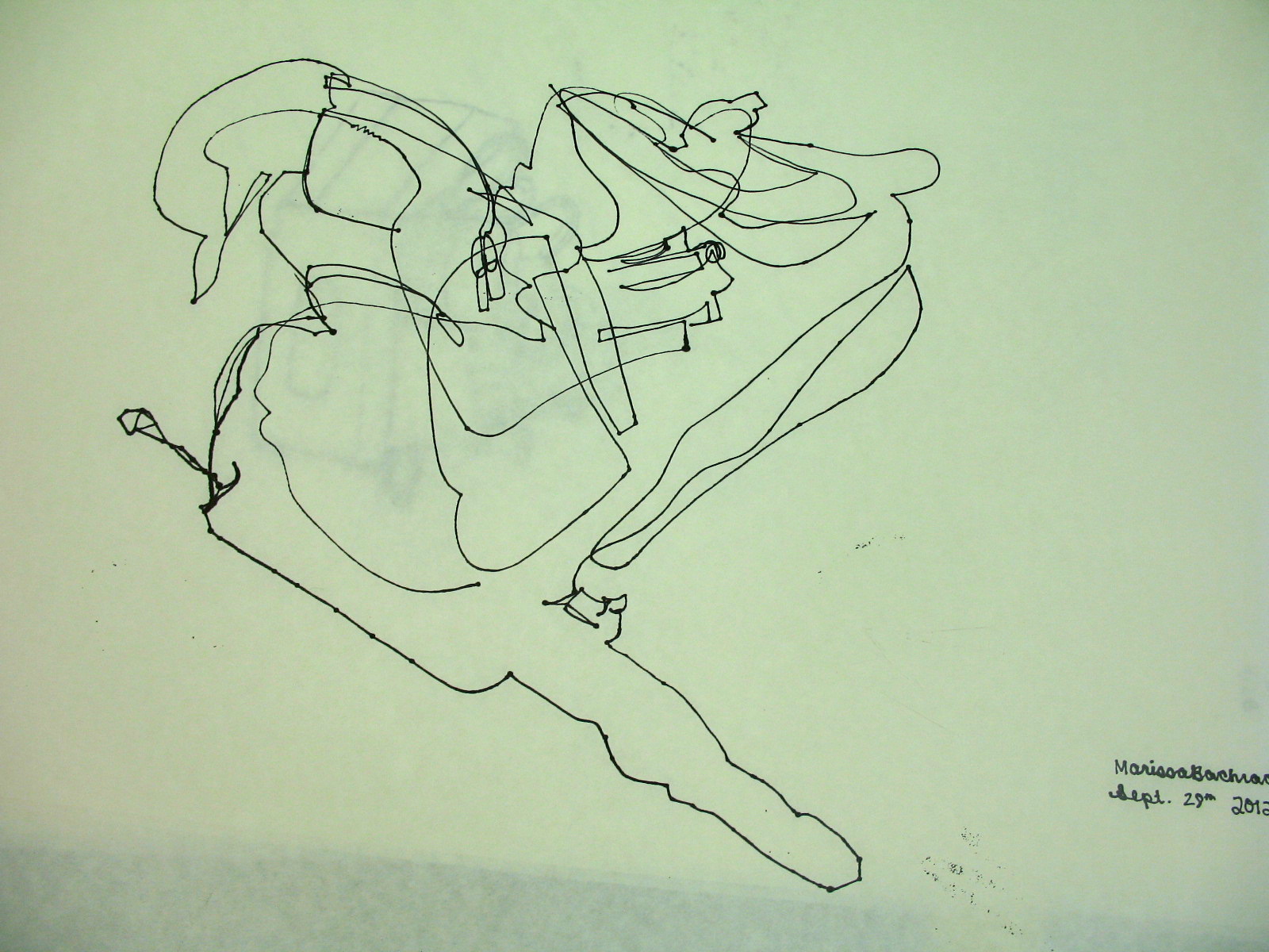 Lane Tech Art Studio : Contour Line Drawing