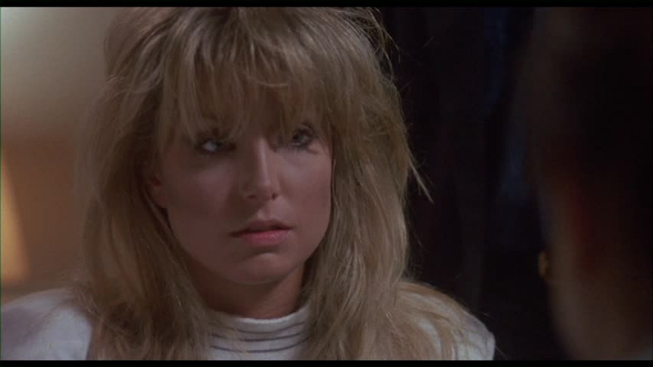 Worth a watch for fans of lower end action films.