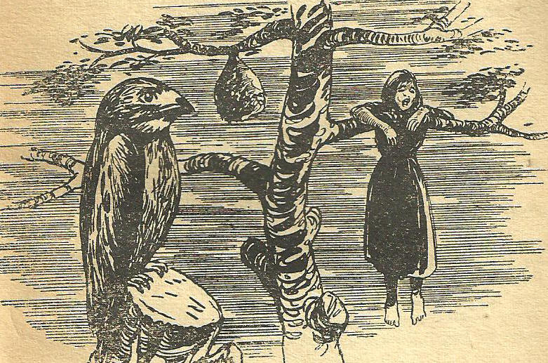 PolMakarni2b: EL CACUY