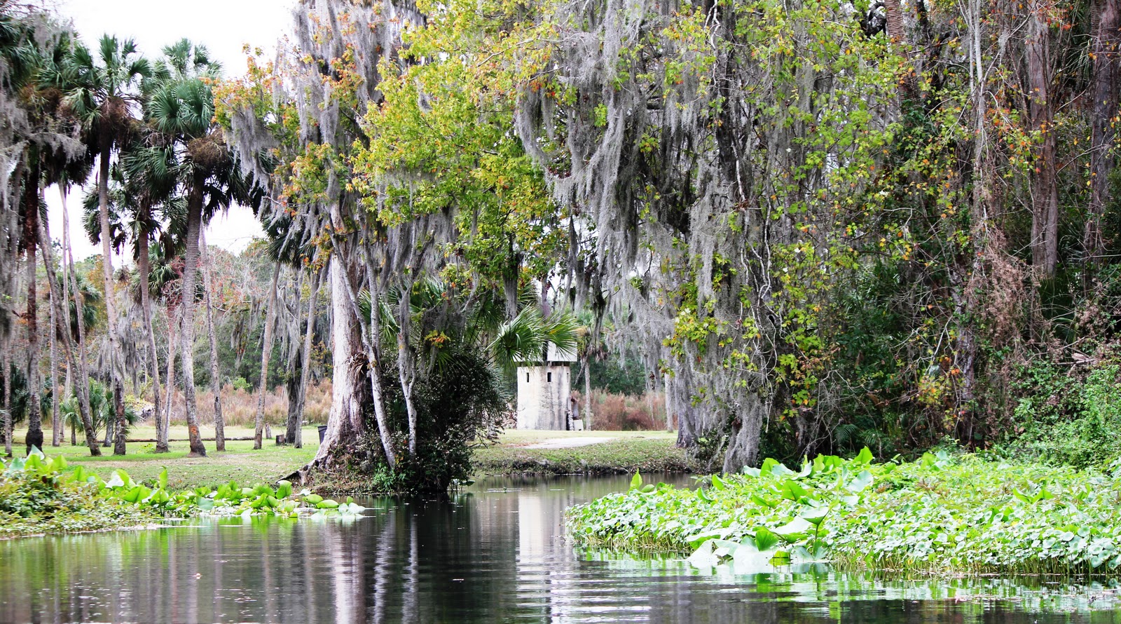 Views From Our Kayak: Wekiva River