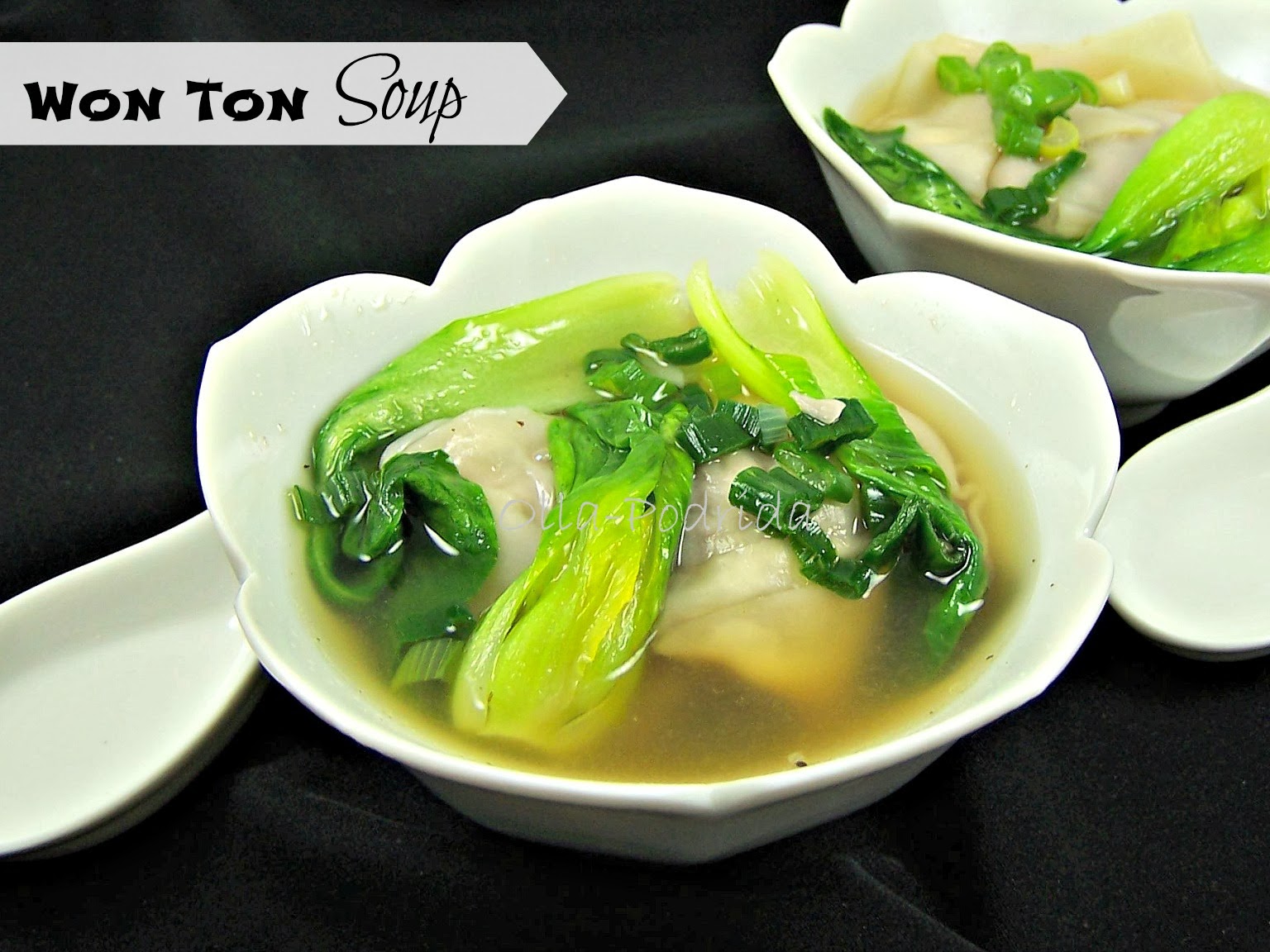 Olla-Podrida: Won Ton Soup