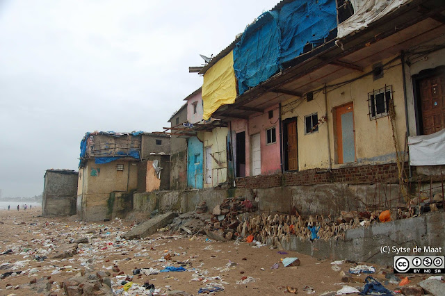 The Perfect Slum: The Slums and the Sea