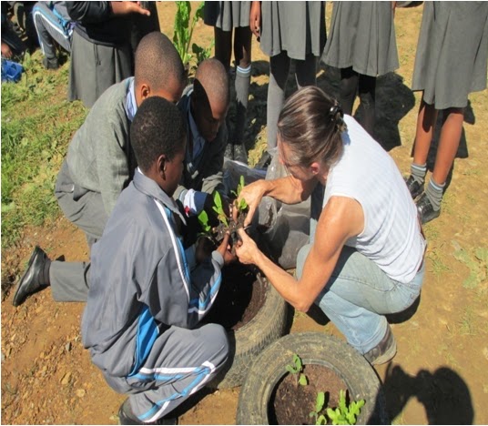 The School Literacy Project: Kayamandi Primary School