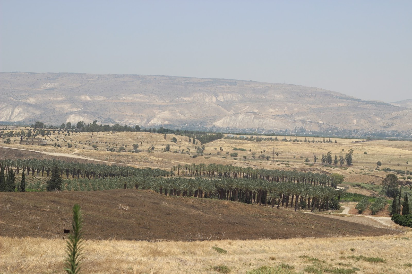 A Melting Pot: Fertile Land and Security Threats