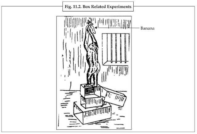 Wolfgang Kohler Insight Theory ~ Educational Theory