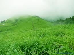 travel and tourism: November 2011