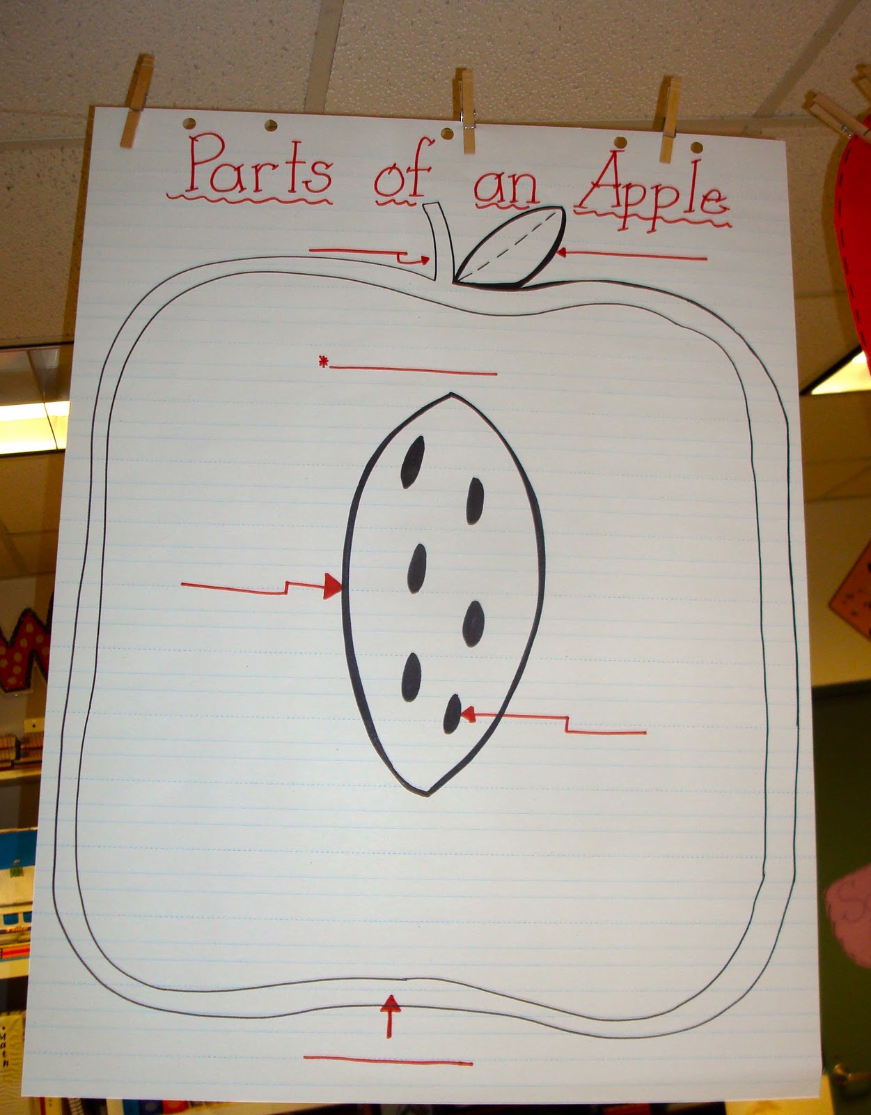 Pencils, Glue, & Tying Shoes: Last Week in Review ... Apples!