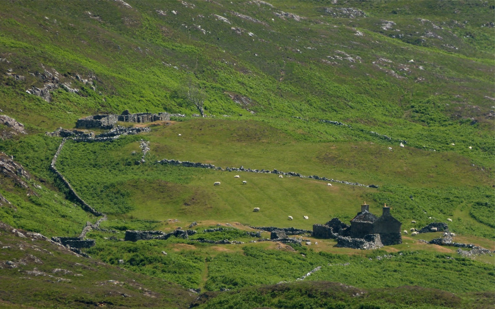 A Kilchoan Diary: Achnaha to the North Coast