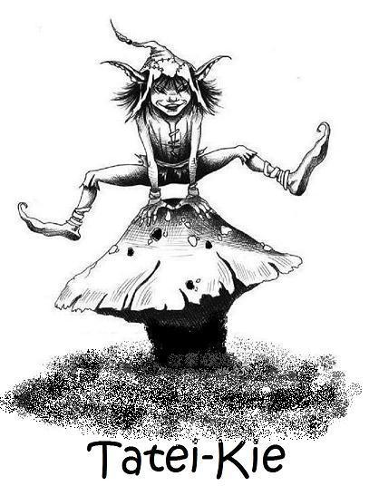 Huicholitos: febrero 2011