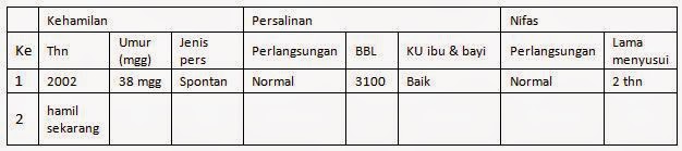 LAPORAN PERSALINAN | Blog Kesehatan
