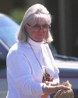 BLOG DA VAN : *03/04/2013 - quarta-feira* - LEVANTE PELA VERDADE...