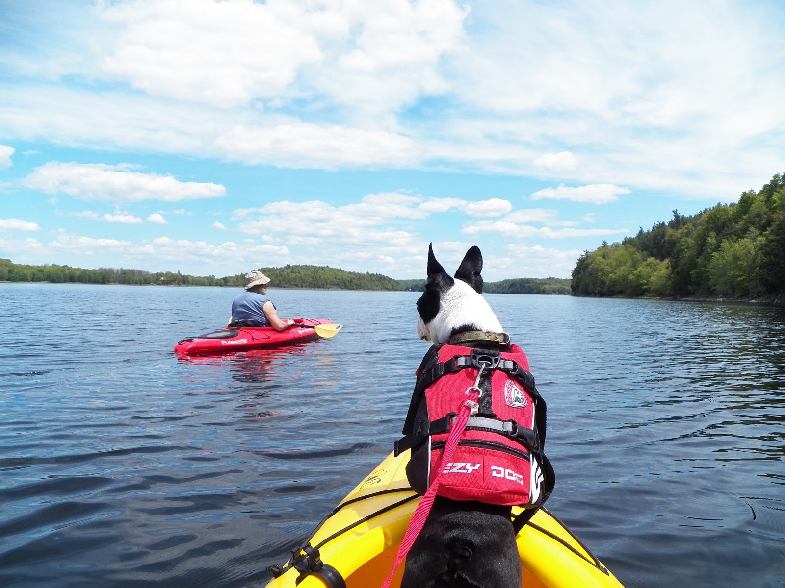 Quiet Kayaking in New York State: Red Lake and Indian River May 2013