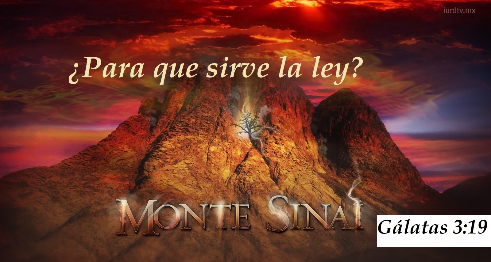 UNA LLAMADA A LA ENTREGA: La simiente de Abraham