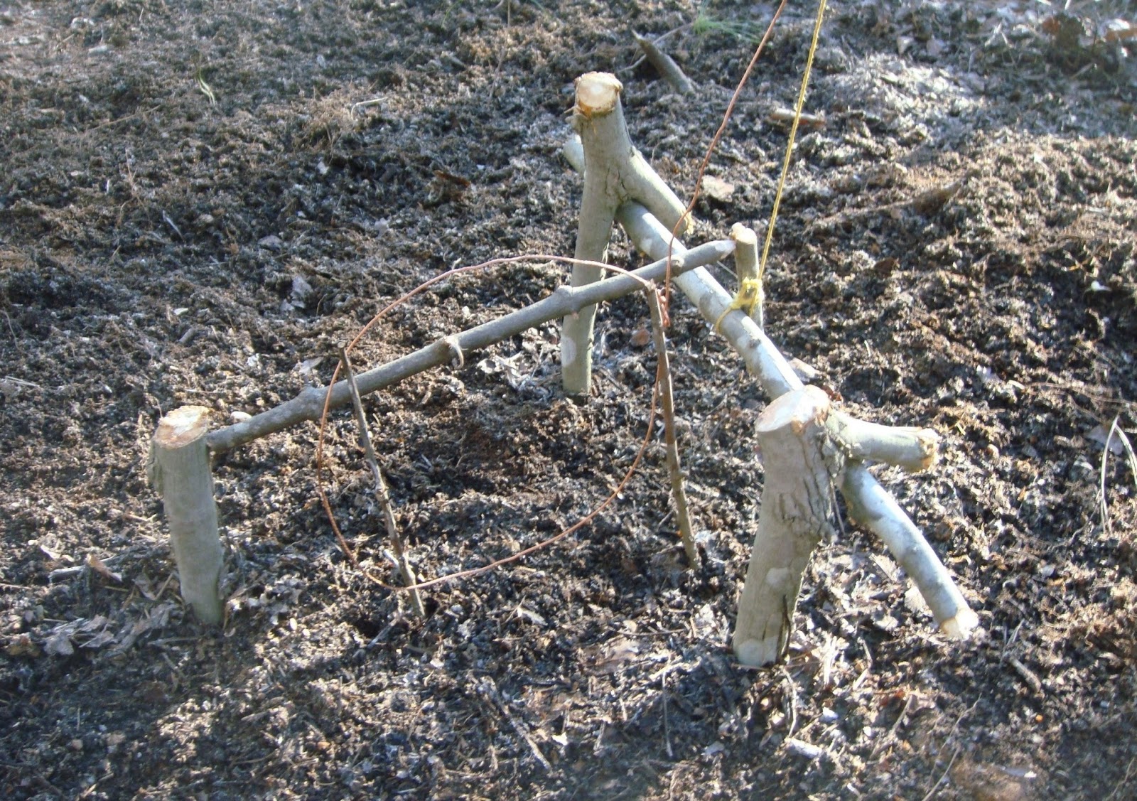 Sensible Survival: Include a Light Weight Trapping Kit in Your Bug-Out-Bag