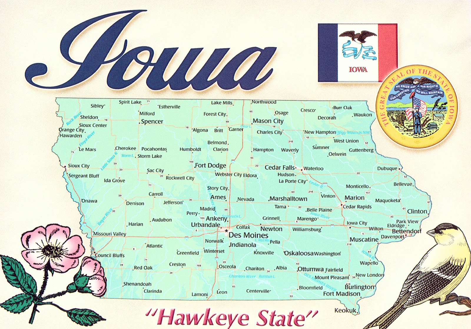 Redefining the Face Of Beauty : IOWA