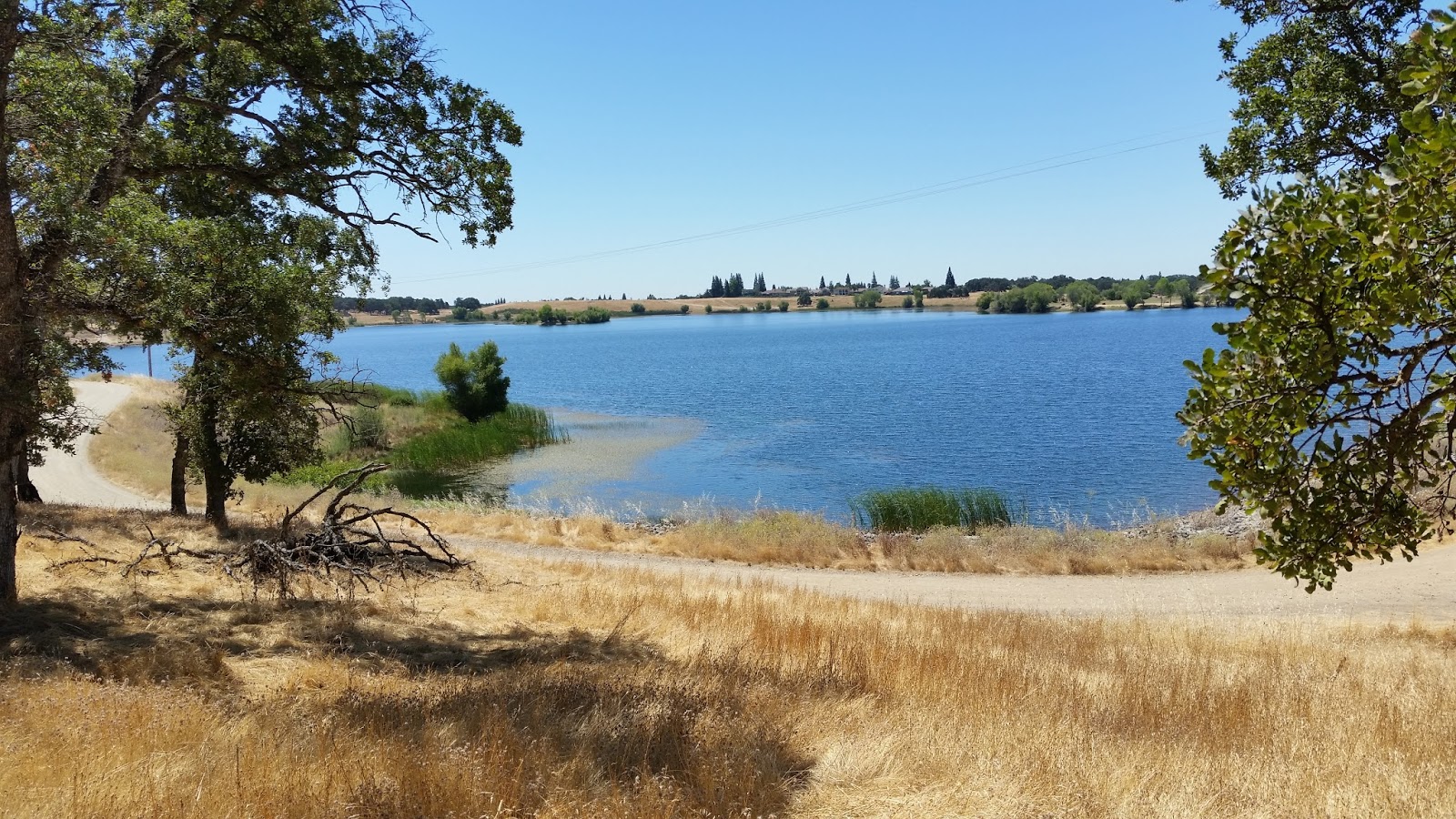 Wes' Travels to California Lakes: Lake Calero - Sacramento County ...