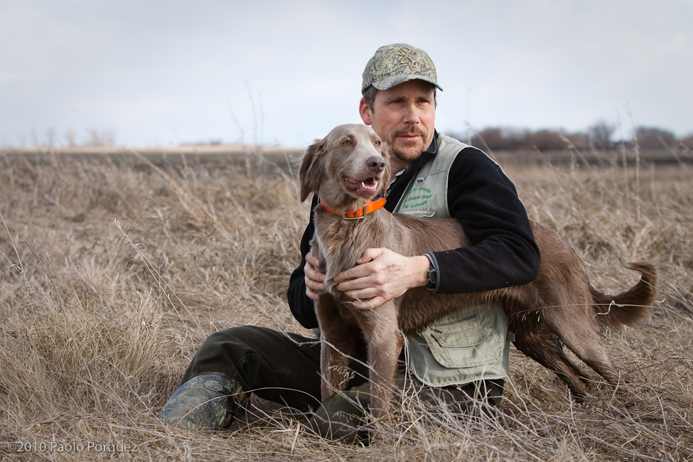 Pointing Dog Blog: Breed of the Week: The Weimaraner Part 3