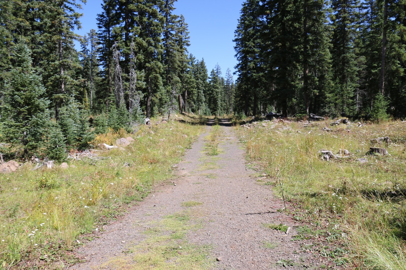 gjhikes.com: Skid Trail