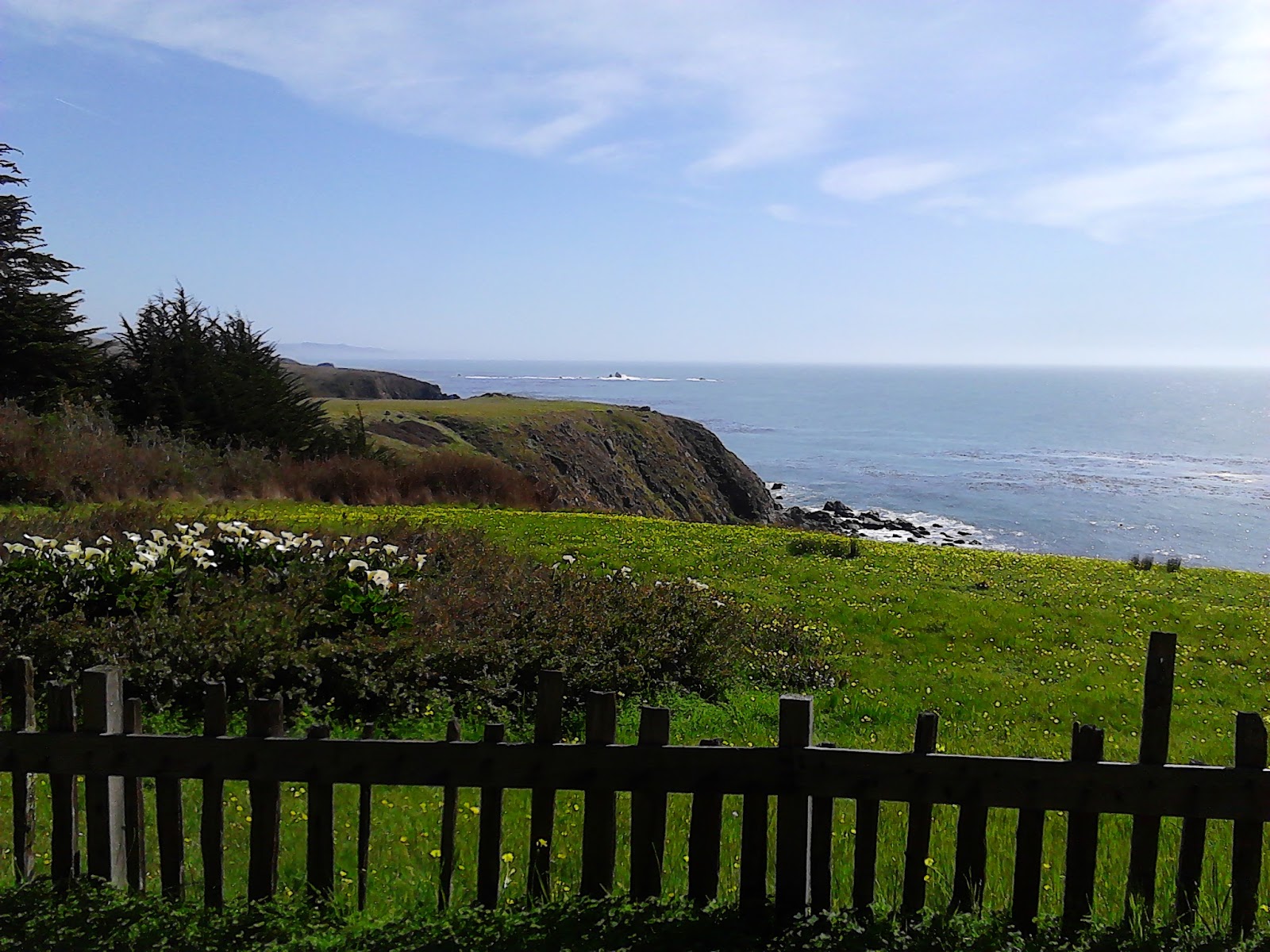 65 and STILL ALIVE: FORT ROSS - Jenner, CA 2013