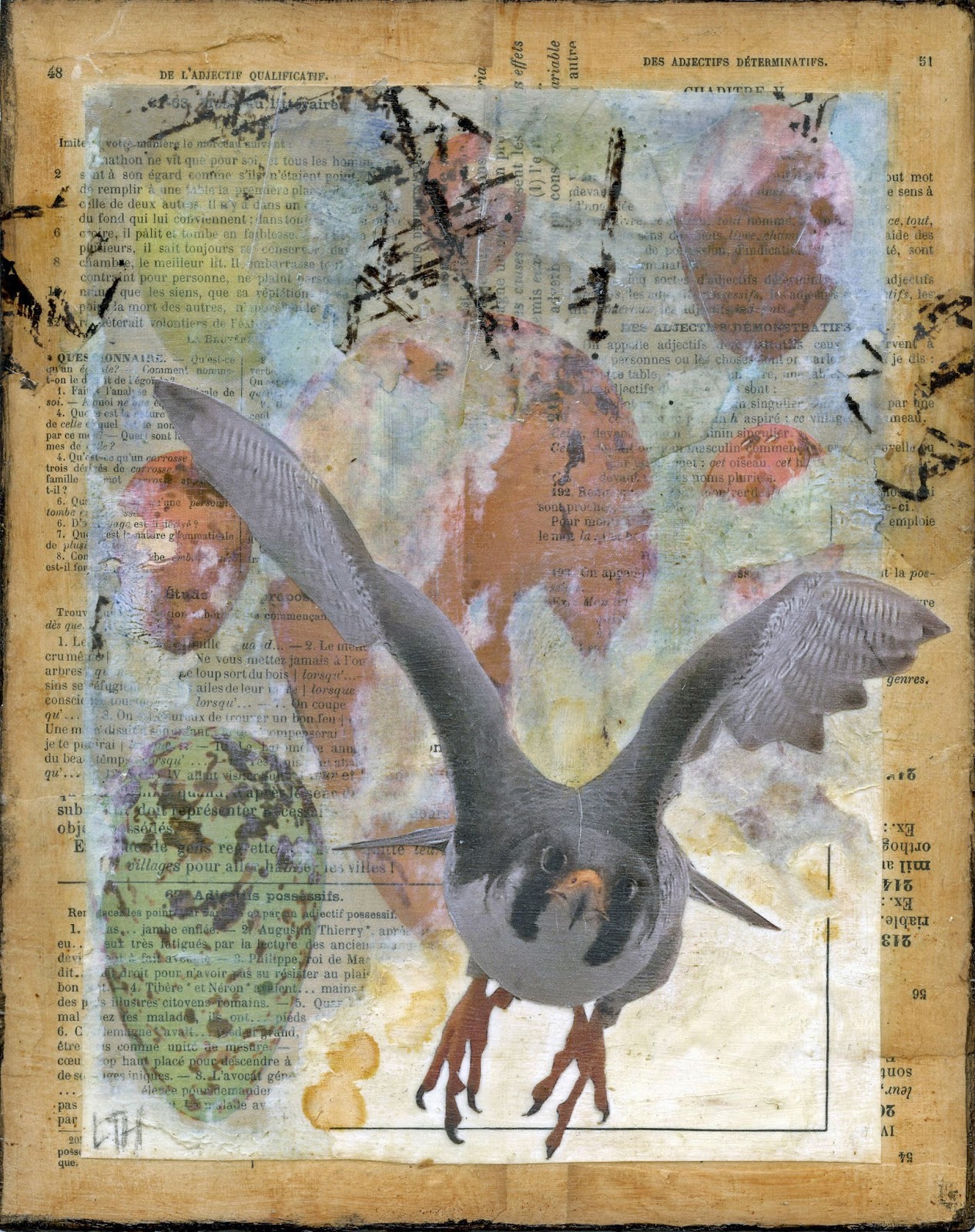 Laura Tringali Holmes: Gallery Store