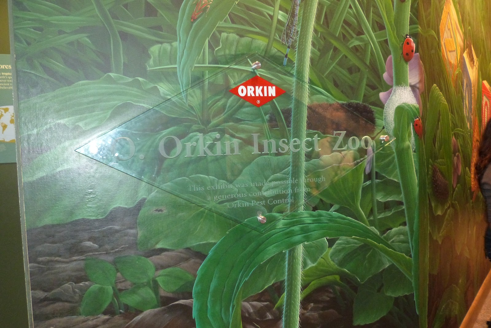 May Term in DC!: Day 4: It's not too often you get this much neatness ...