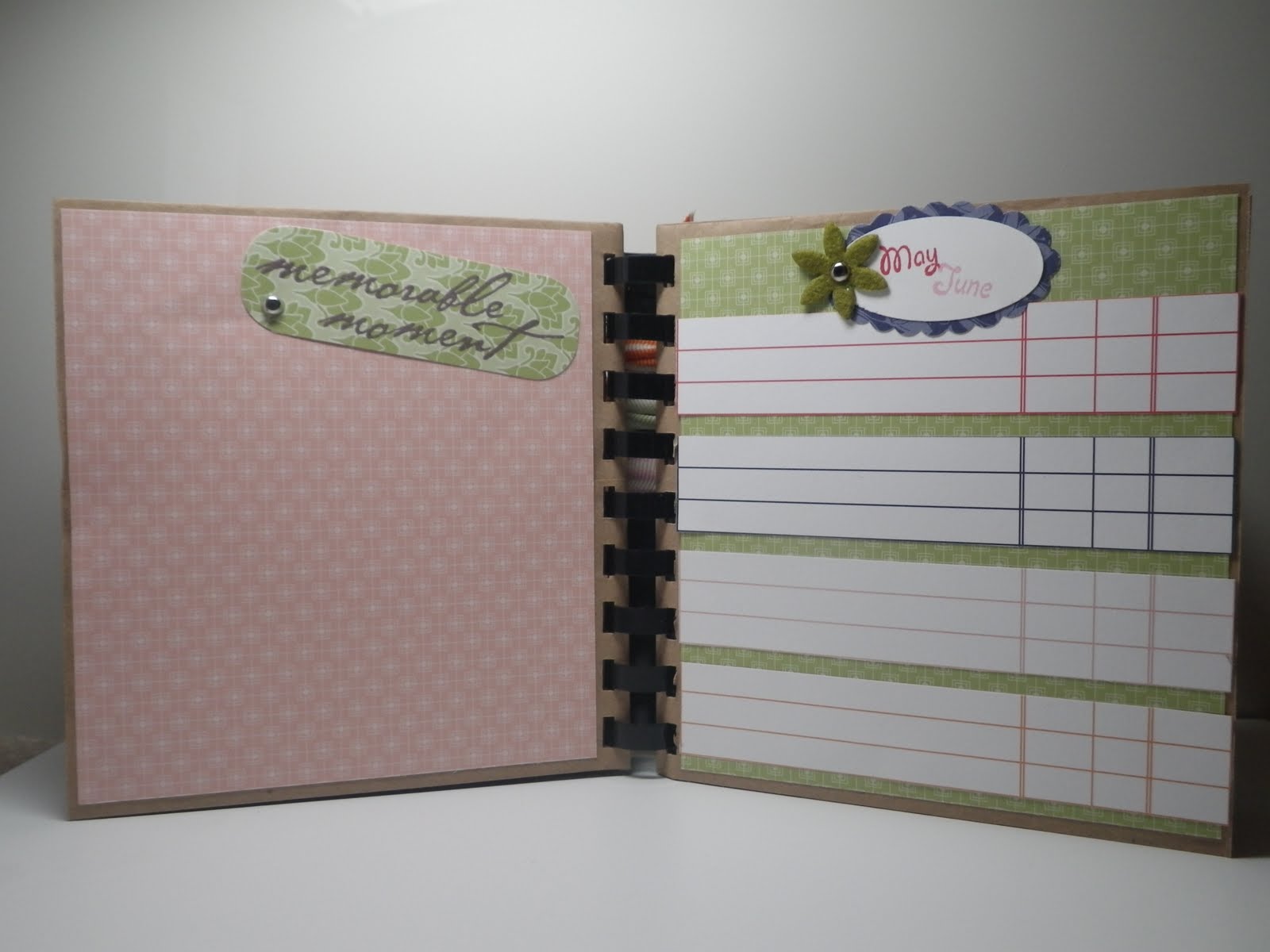 T's Candybug Gifts: Birthday Record Book