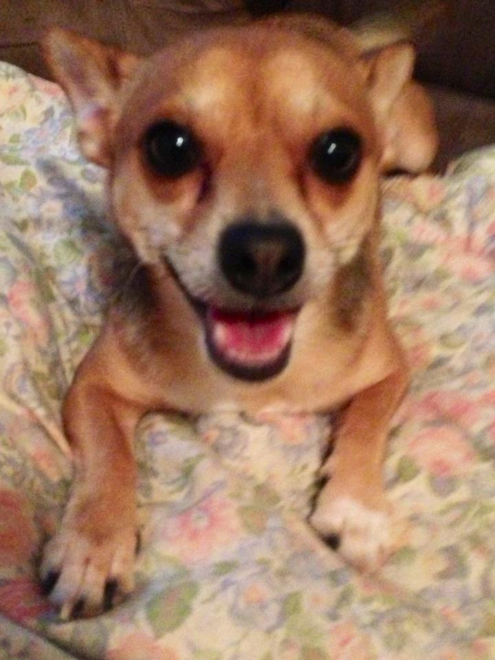 This Fat Girl's Life - Angel Cavanaugh's Blog: Can You Stand The Rain?