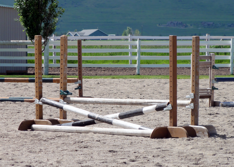 Adventures in Colt Starting: Oxer - check!