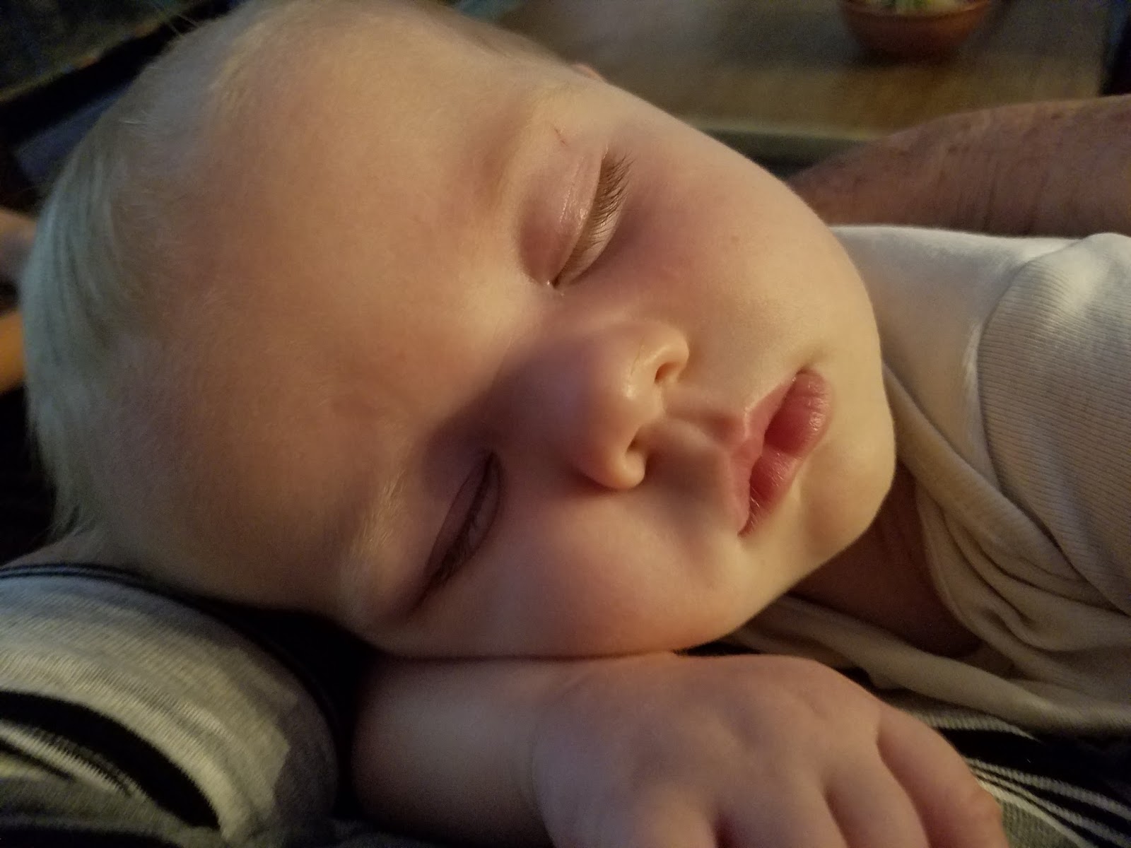 Nully Baby Blog: Serial Cat-Napper