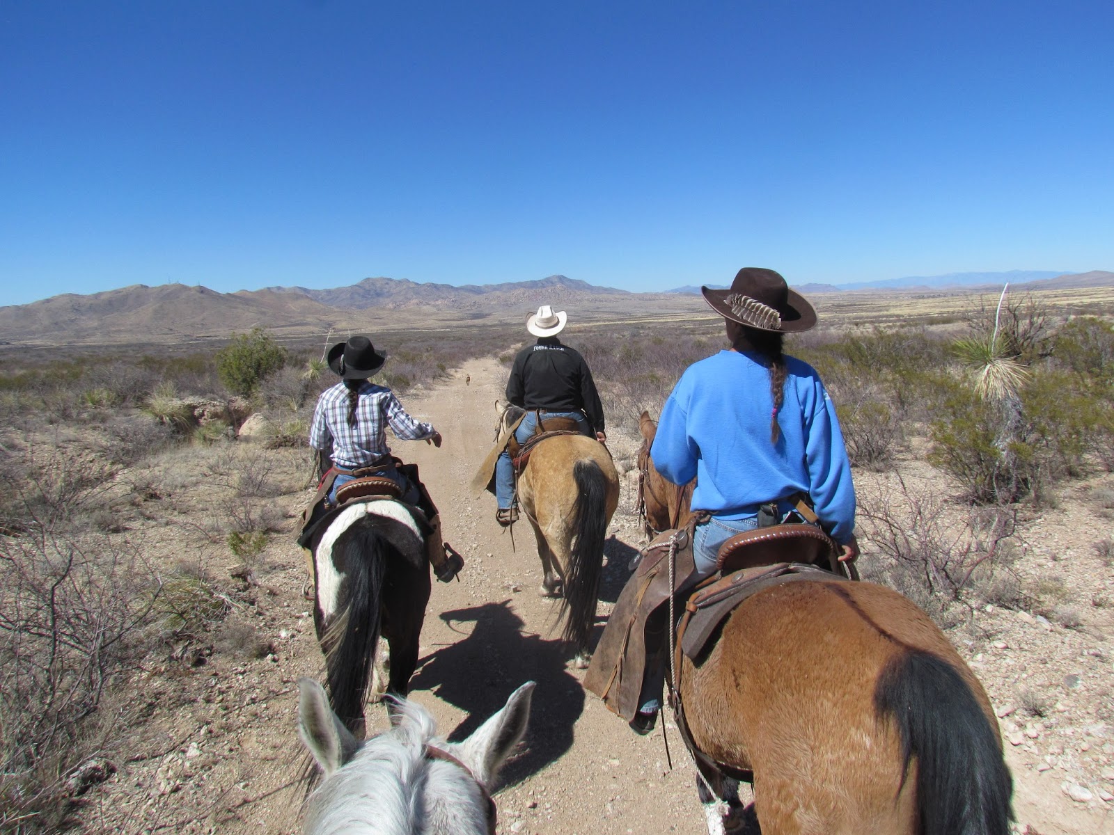 Ranch Riding: Working at the Fourr Ranch