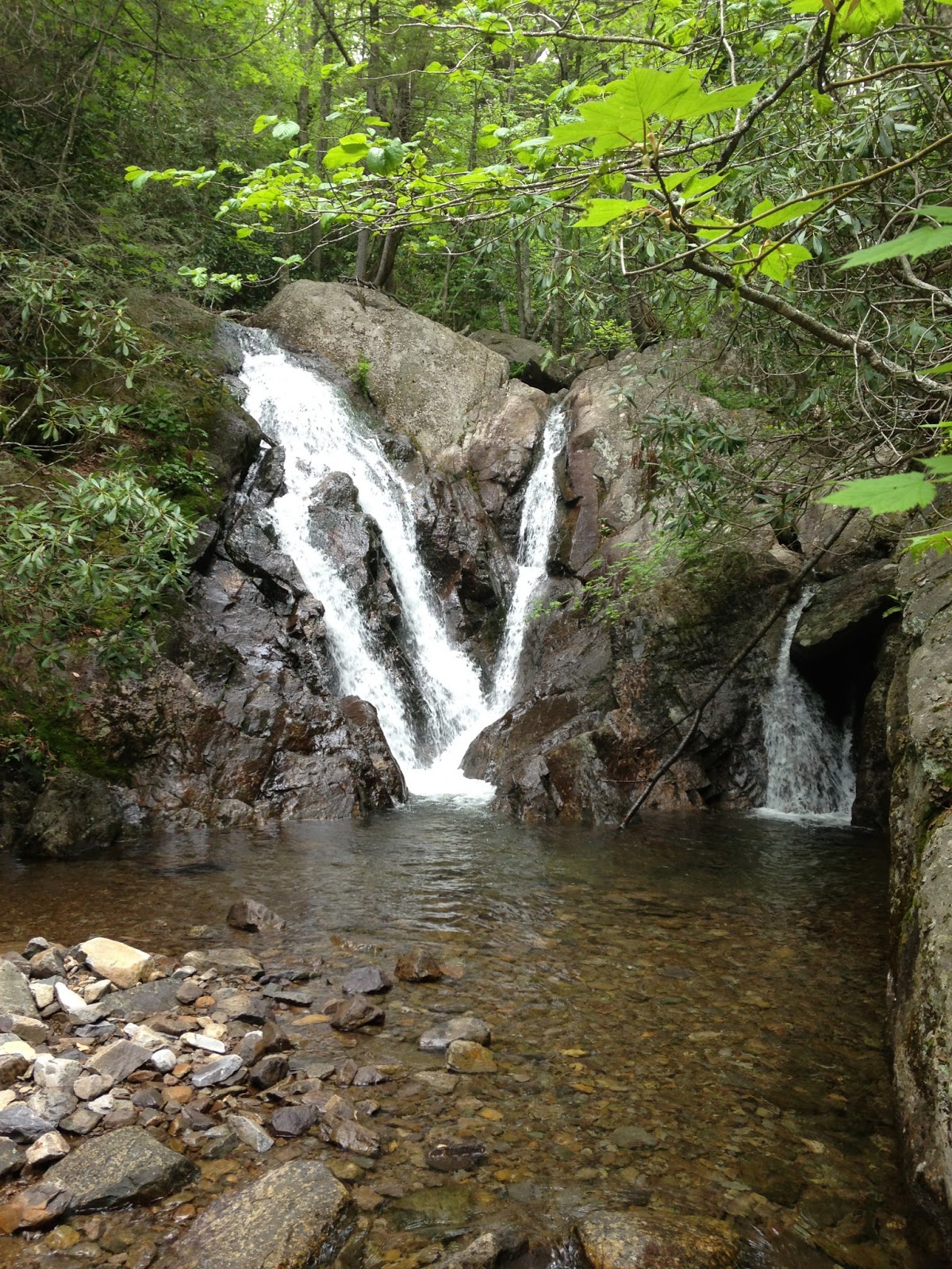 NC BACKCOUNTRY: A Day Hike at Grayson Highland State Park