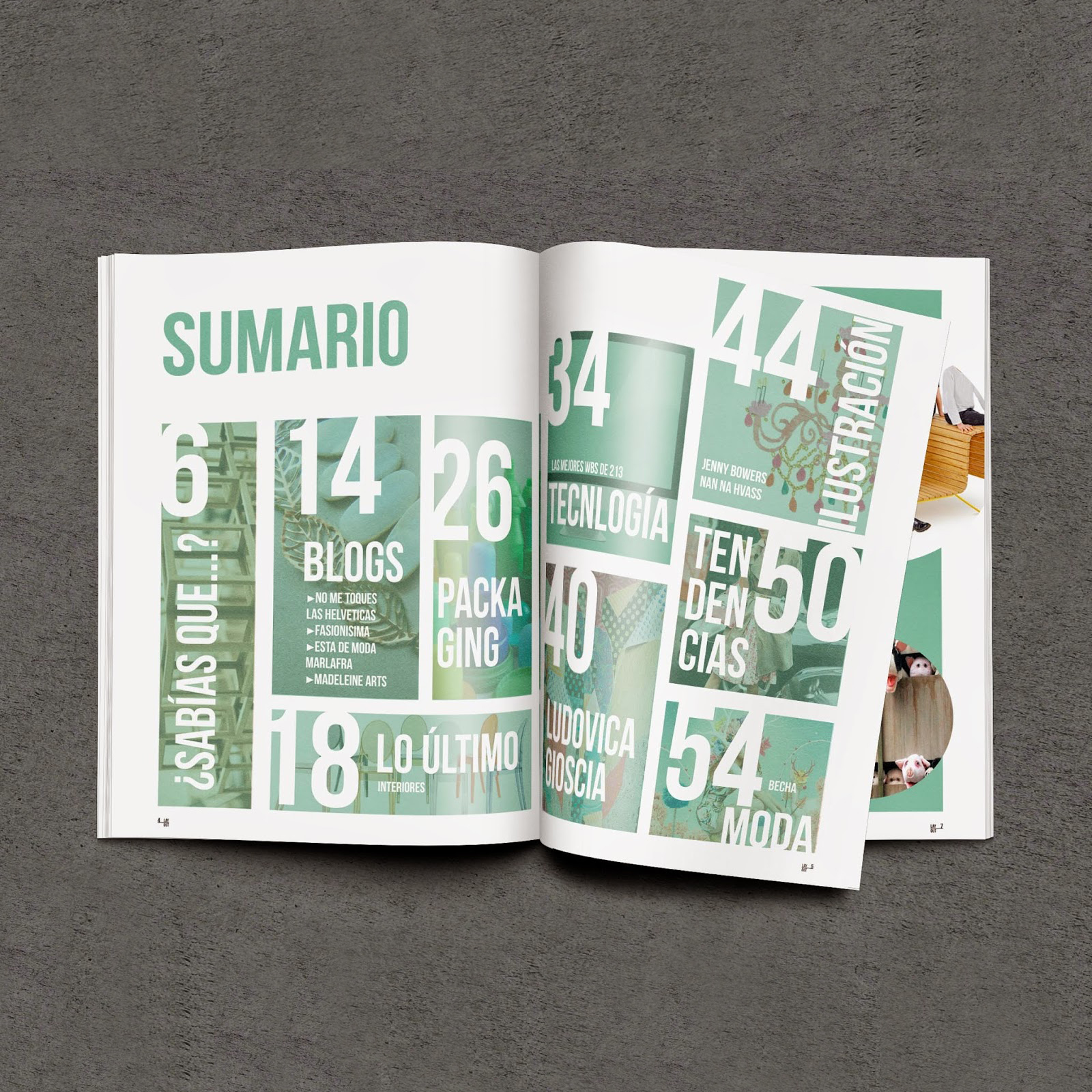 REVISTA LAYOUT | MISS DISEÑO