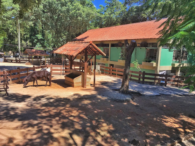 Como é o Zoológico do Rio | Brasileira Viajante