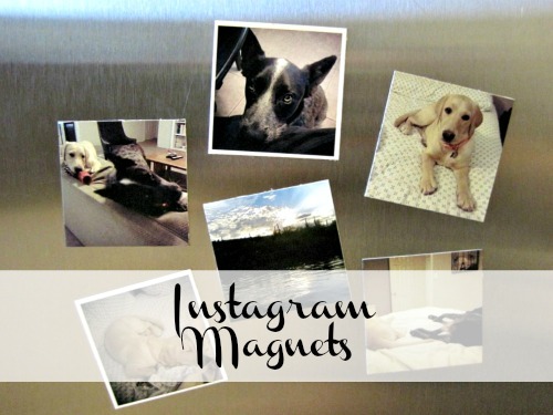 The Junk House: DIY Instagram Magnets