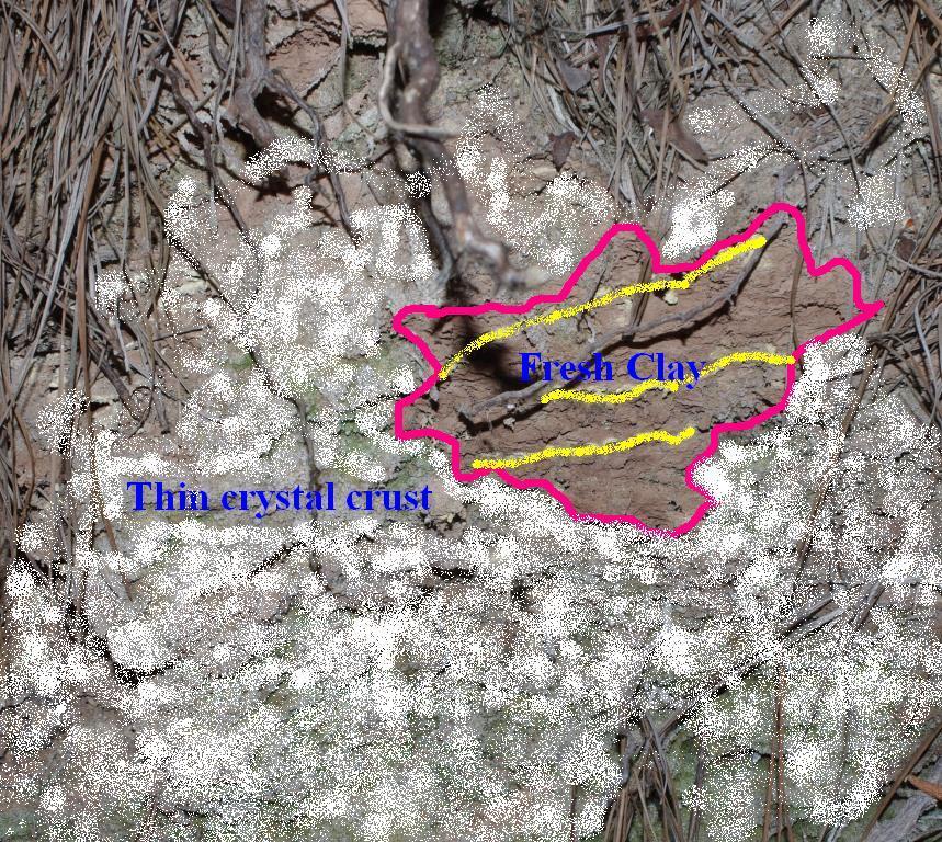 The Dirt on Soil: "What the...?" Part 2; How to identify a mystery ...