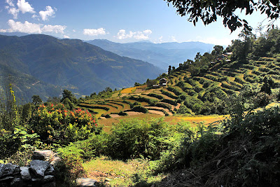 Its All About Nature................