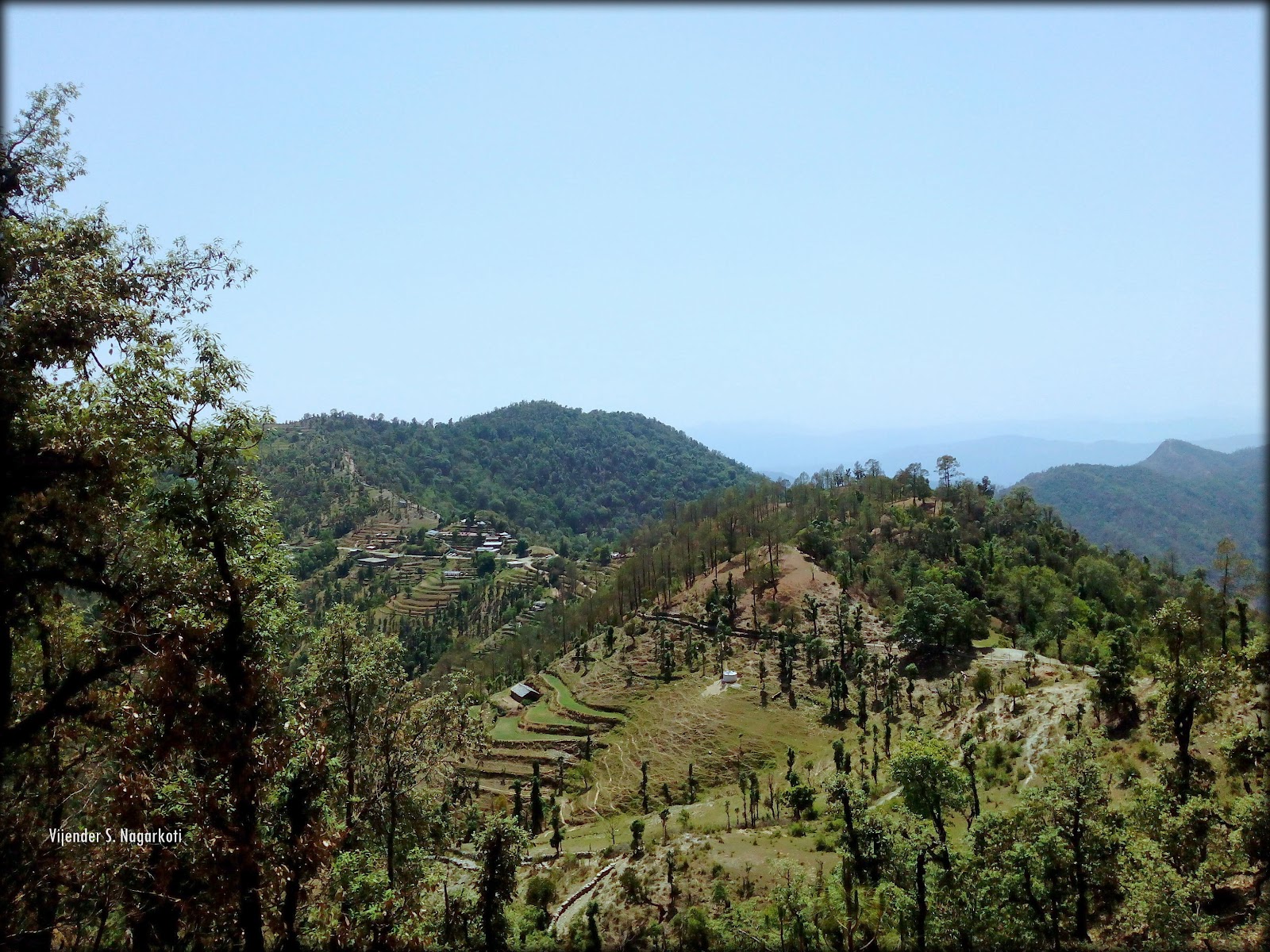 Uttarakhand Tourism: Dwarahat Dunagiri & Pandavkholi Photos