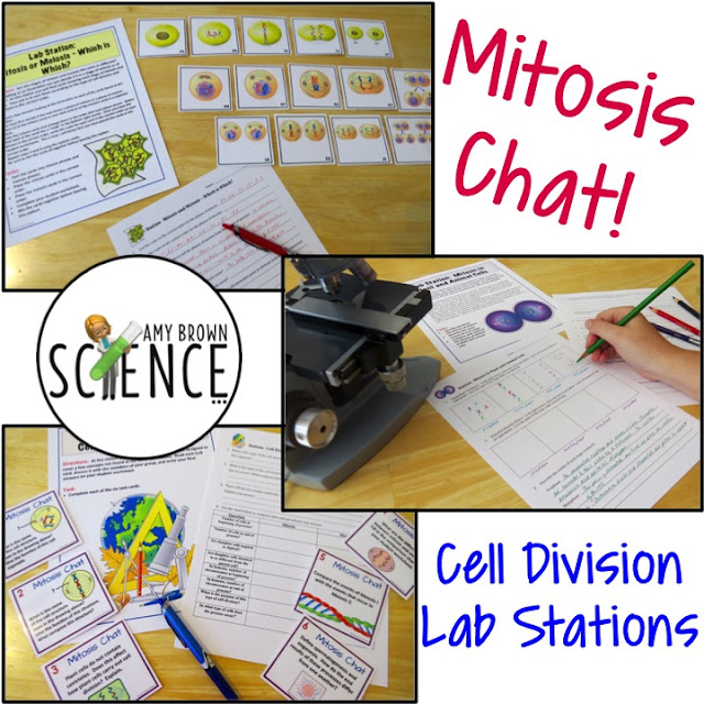 Amy Brown Science: Wanna Chat? Reasons why my Chat Lab Stations are ...