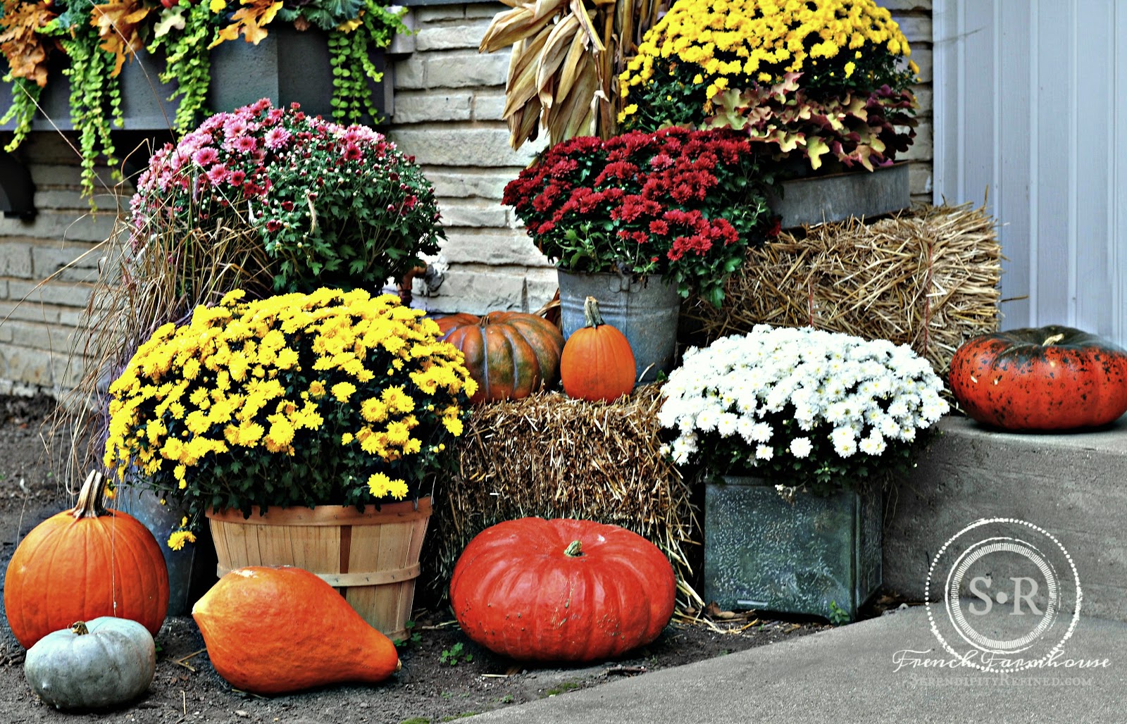 Serendipity Refined Blog: Red Yellow and Gray Fall Porch Decor