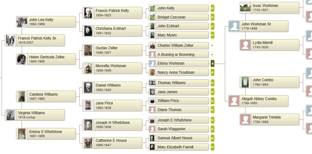 Nuts From the Family Tree: 2014